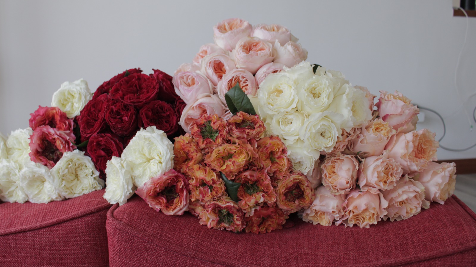 7 Trending Wedding Roses Brides Love In 2025 | Fresh Flowers Online